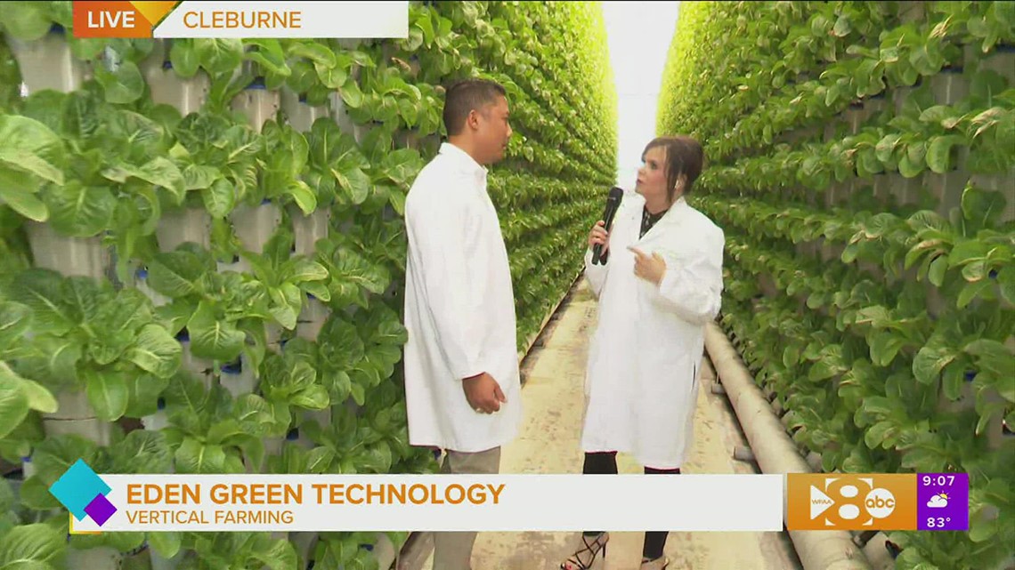 How a new farming concept is taking traditional form to greater heights ...