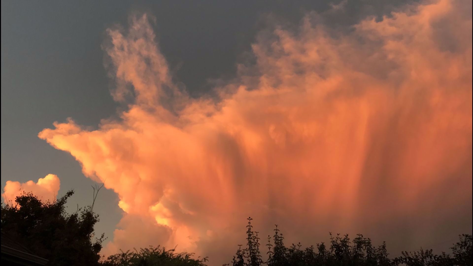 Gallery: Beautiful sherbert-colored skies in North Texas | wfaa.com