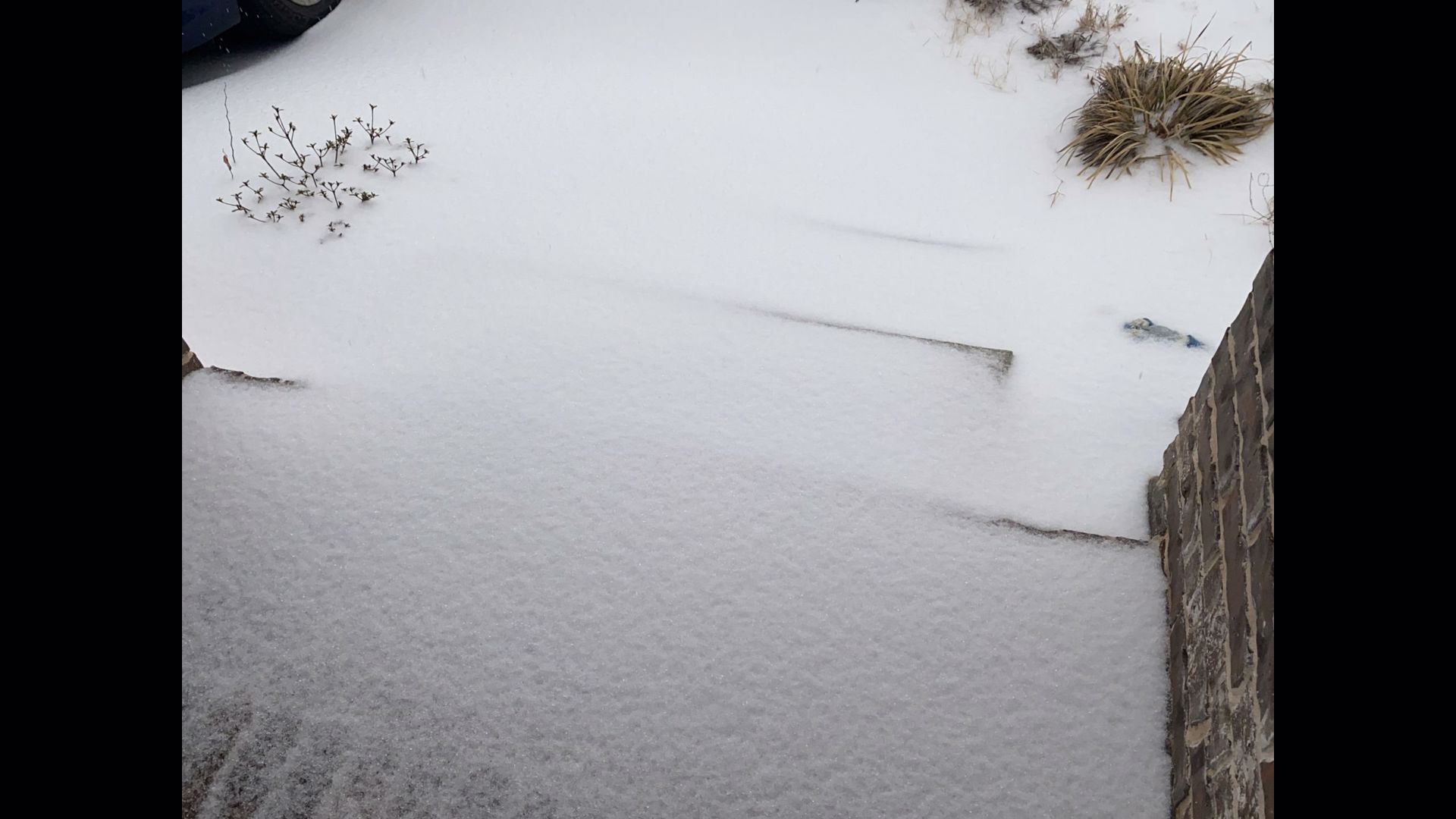 Photos of January 30 2023 Winter Storm Dallas Fort Worth Texas | wfaa.com