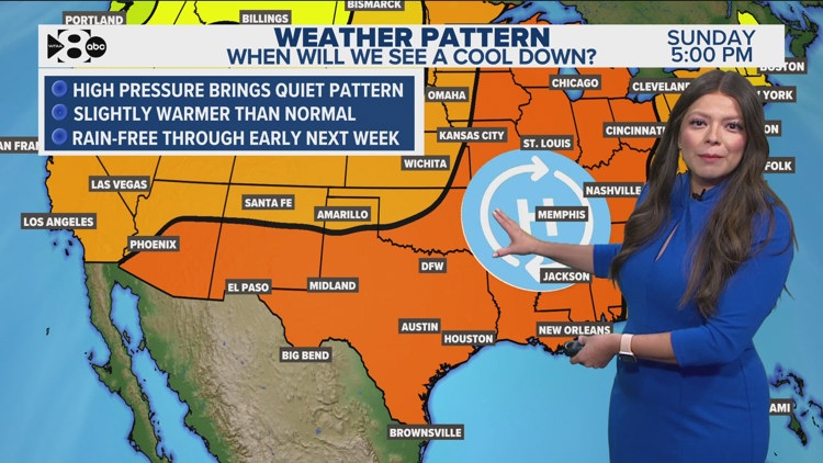 News 8's Shelly Slater transitioning from anchor role | wfaa.com