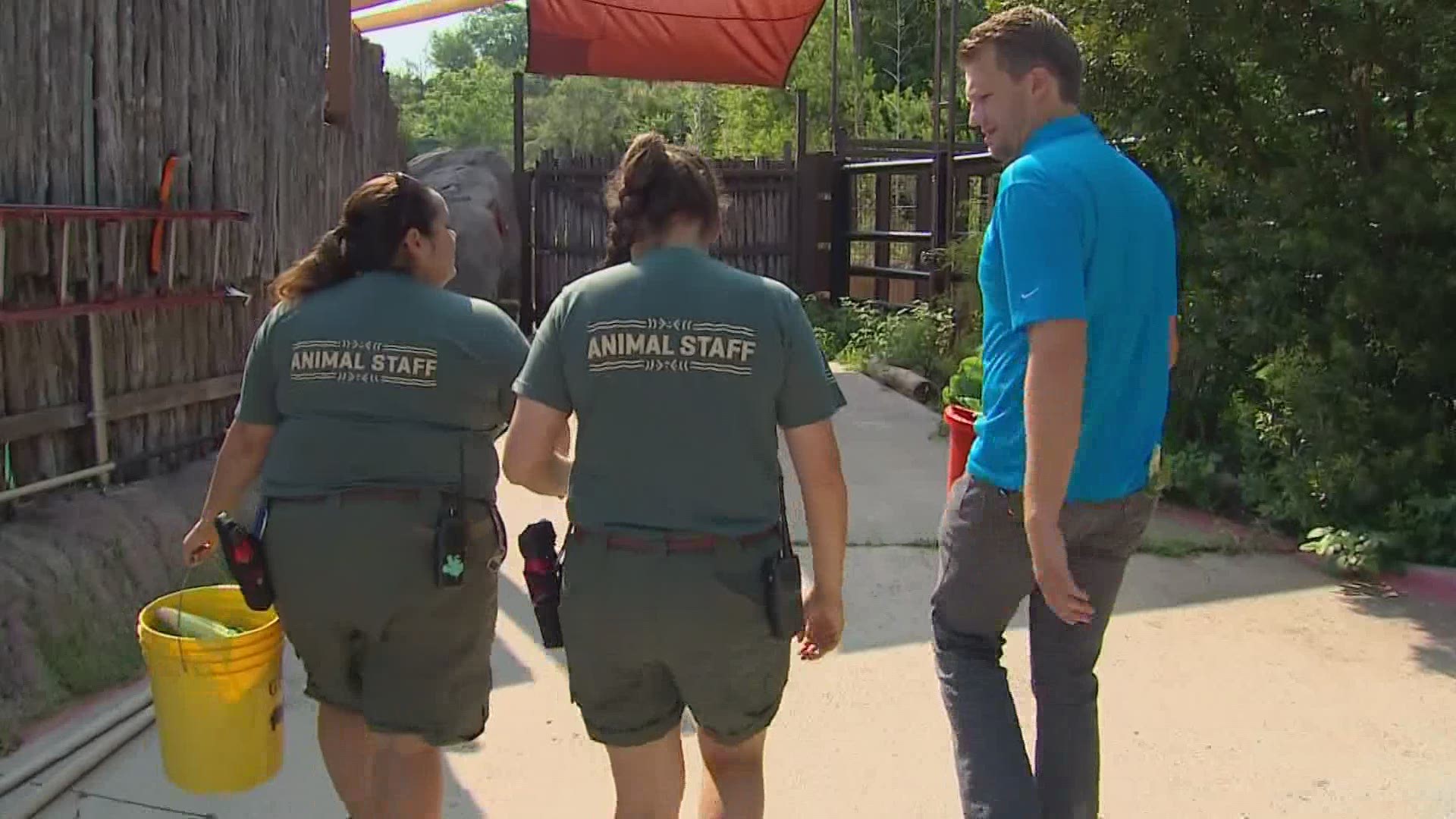 A behind-the-scenes look at the Dallas Zoo for Zookeeper Appreciation ...