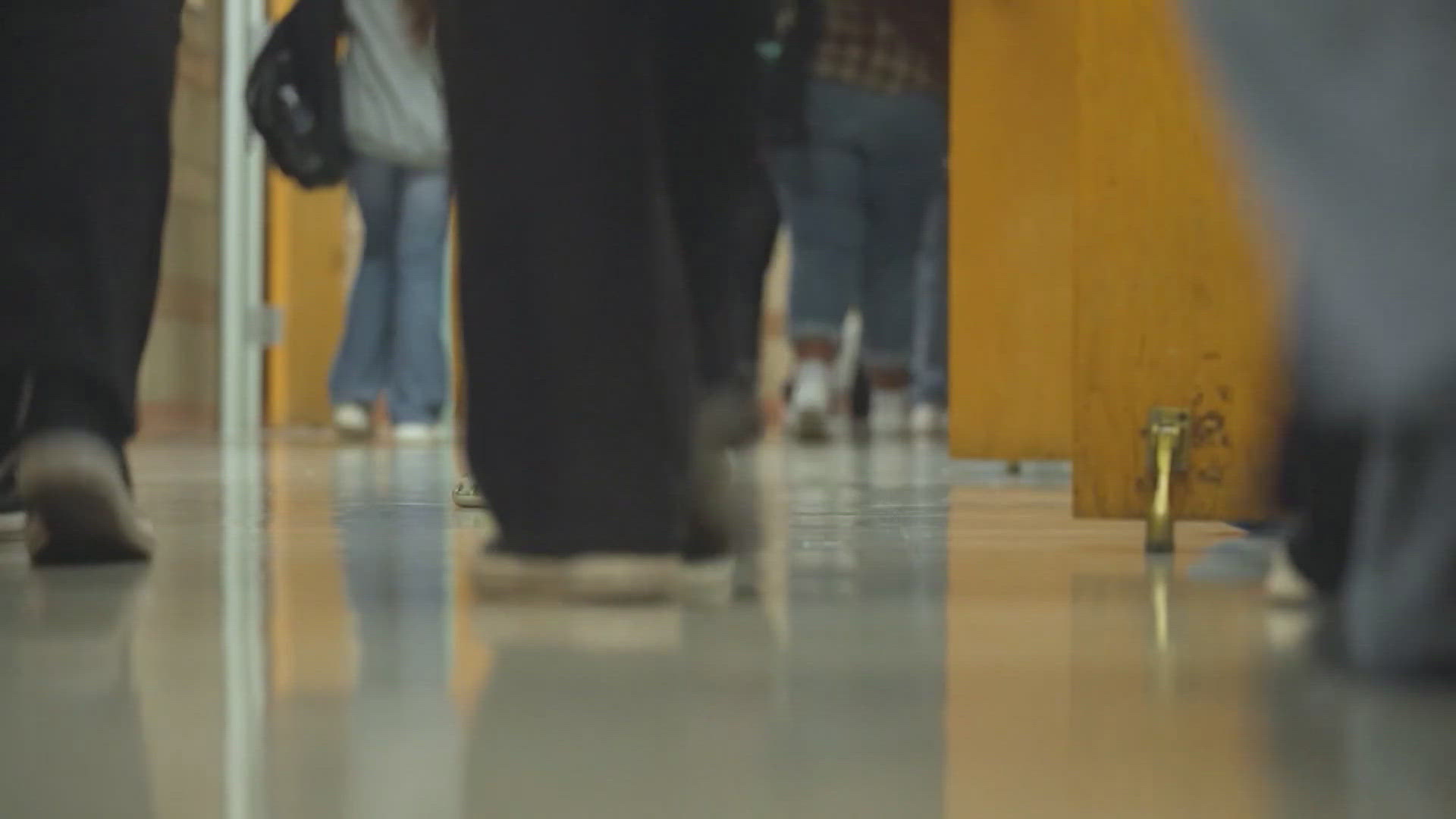 Asian Lady Beetles: Here's what to know about these fake ladybugs ...