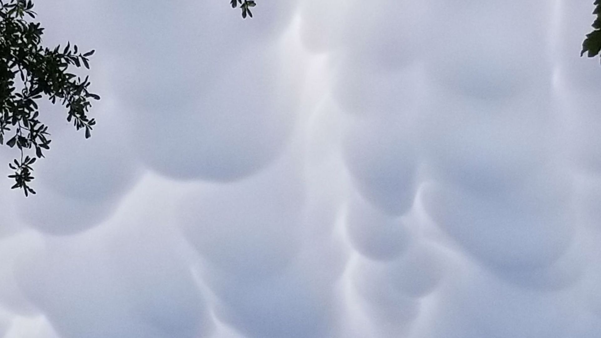 What are those strange looking clouds above DFW? | wfaa.com