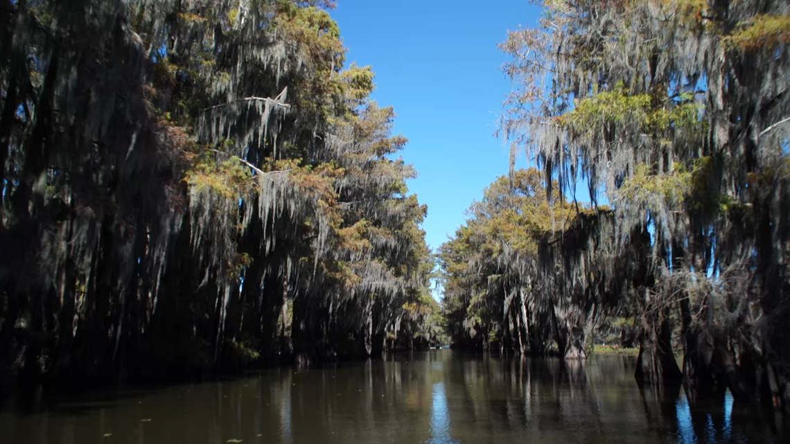 Caddo Lake travel guide: Worth the drive | wfaa.com