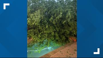 DFW severe storm damage after tornado warnings: Updates | wfaa.com