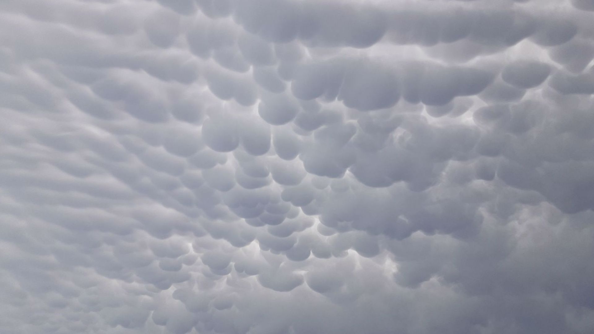 What are those strange looking clouds above DFW? | wfaa.com