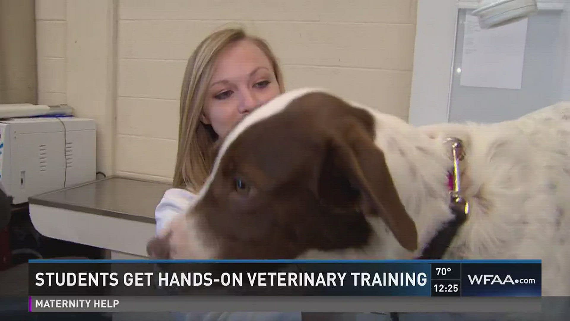 Students get hands-on vet training | wfaa.com