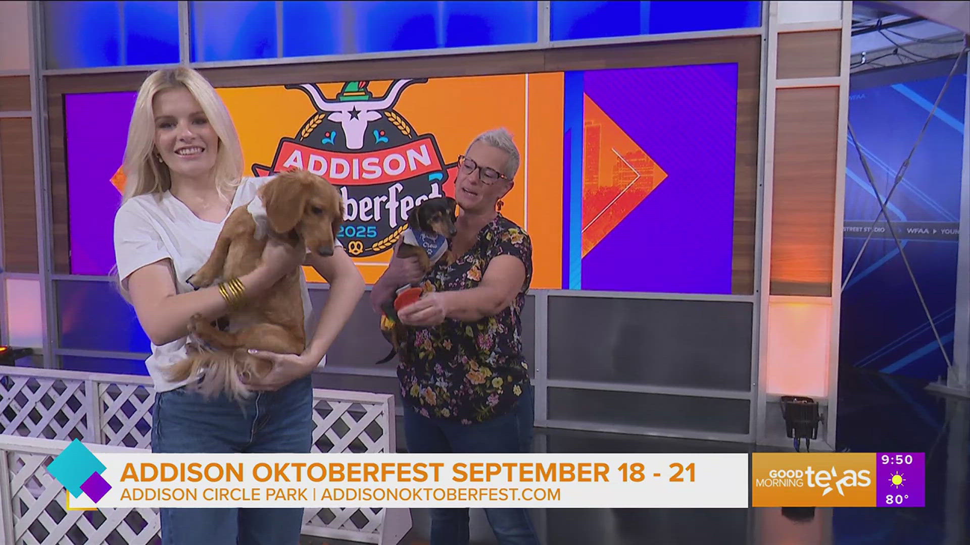 A preview of Addison Oktoberfest | wfaa.com