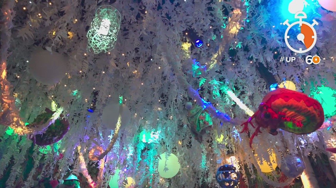 A sneak peek inside Meow Wolf in North Texas | wfaa.com