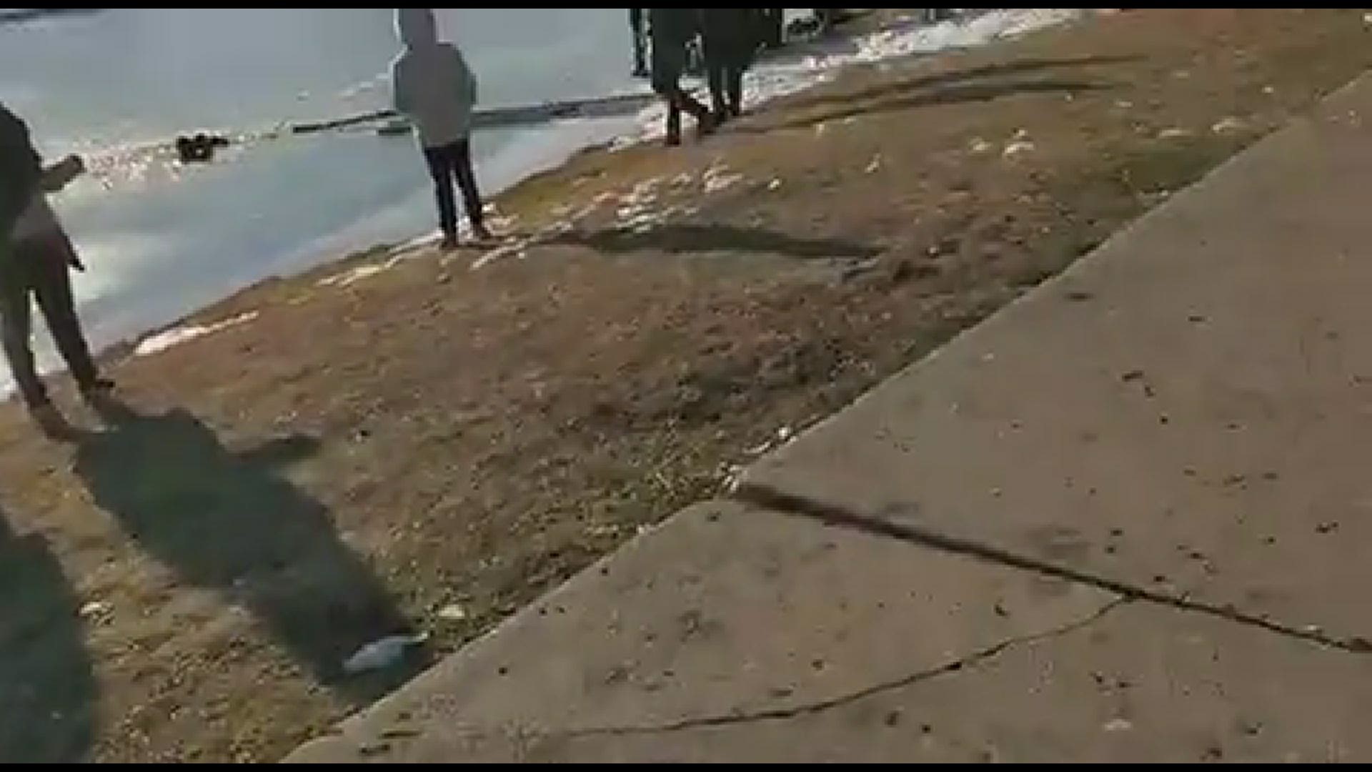 Drowning couple at Thomas Jefferson Park | wfaa.com