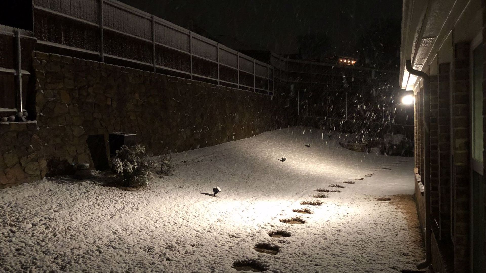 DFW snow: Residents share photos, video from North Texas | wfaa.com