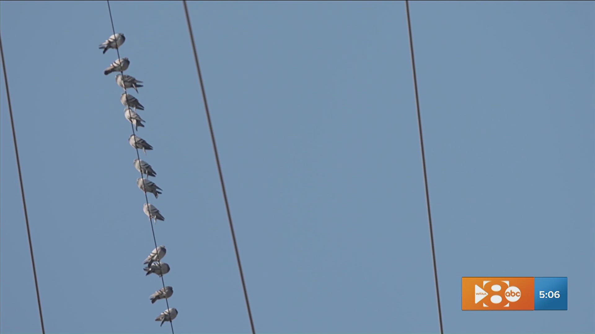 ERCOT says Texas's grid is in good shape amid extreme cold | wfaa.com