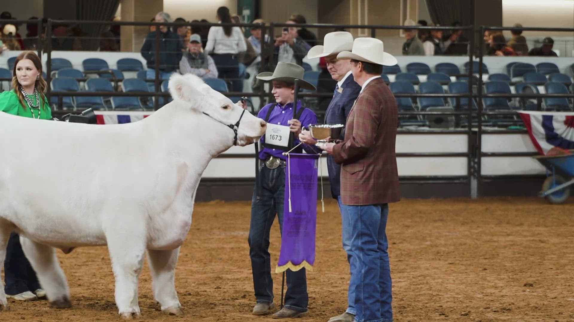 Hood County teen, 'White Castle' win Grand Champion Steer award at Fort ...
