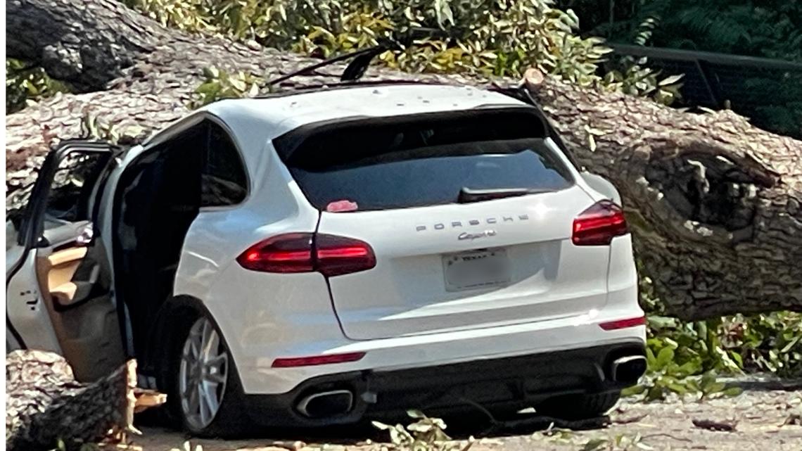 DFR: Woman driving SUV pinned down by large tree | wfaa.com