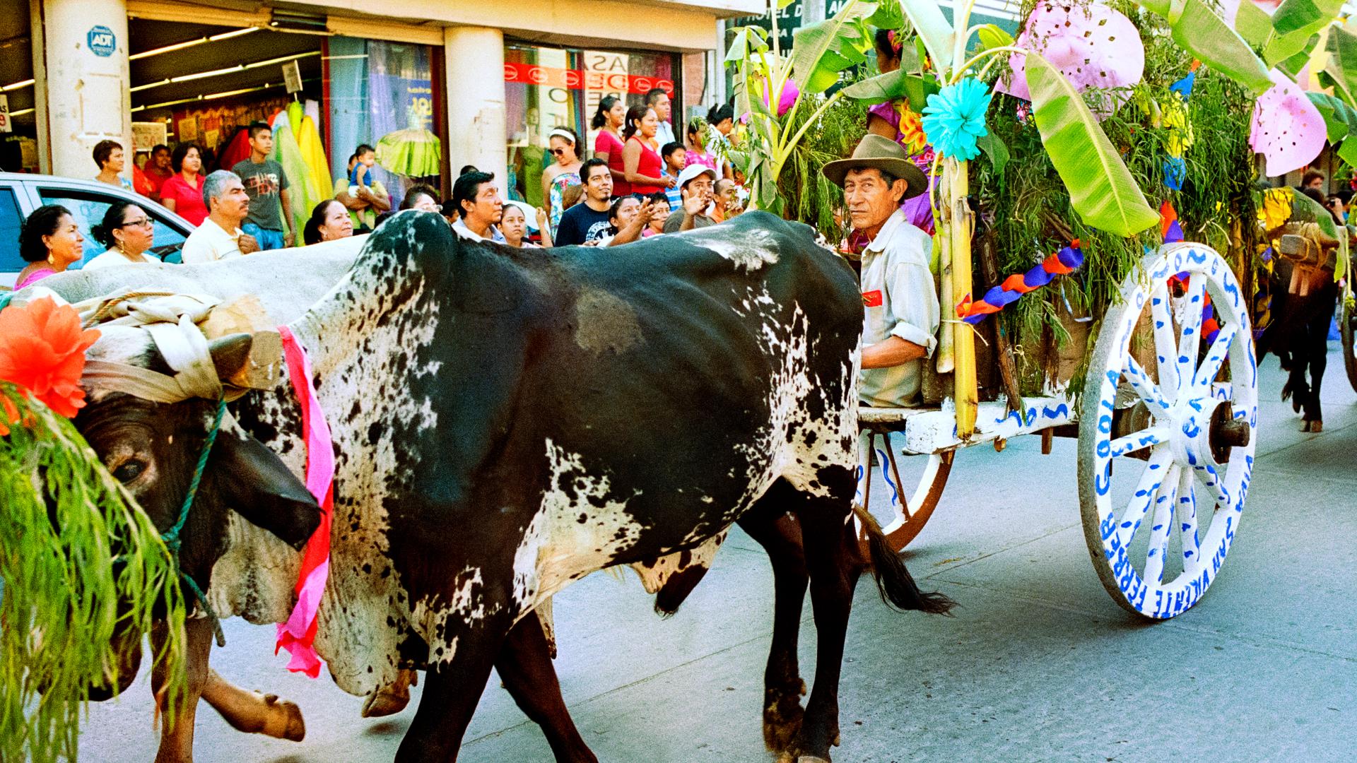 Laura Wilson showcases unseen Mexico photos at Meadows Museum | wfaa.com