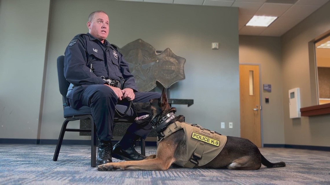 Dallas officer and his K-9 partner are back on duty after being shot ...