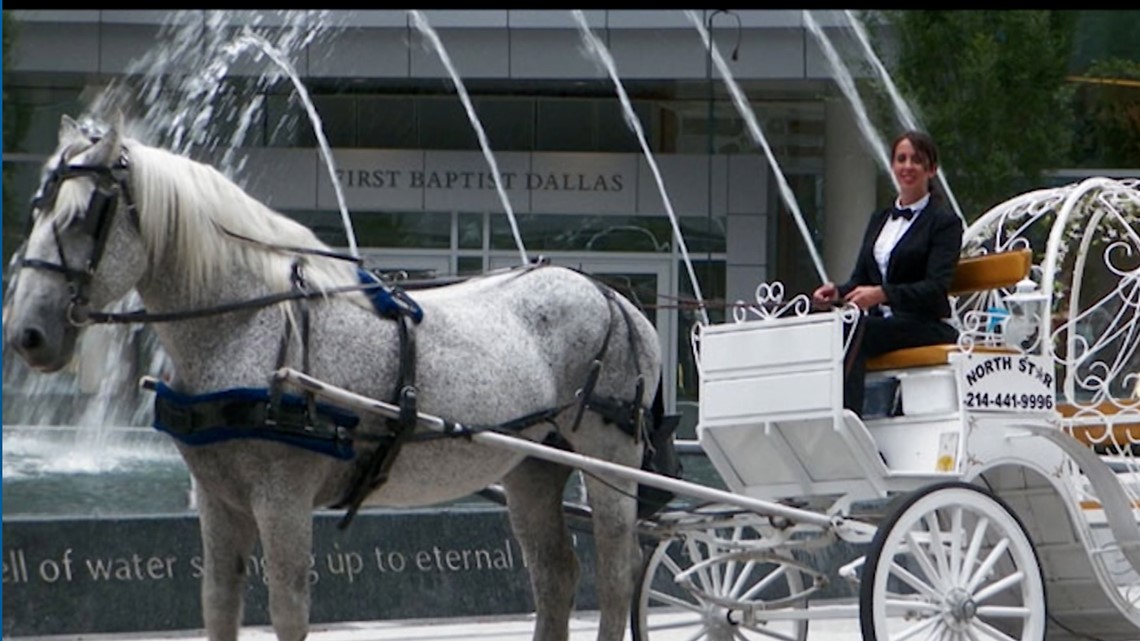 Dallas considering replacing horses with electric carriages | wfaa.com