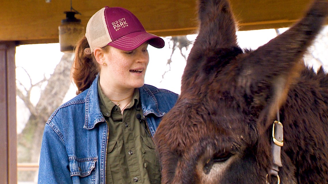 Texas teenage animal care manager talks about her growing love for ...