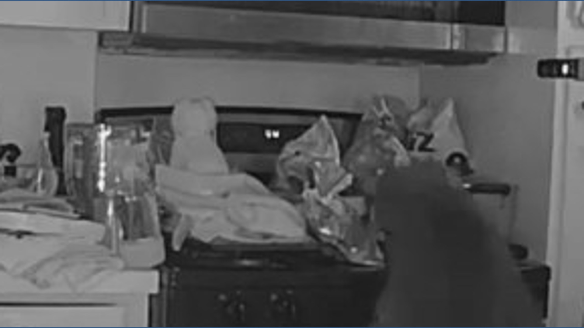 Garland Fire PSA: Keep kitchen stove area clean and clear | wfaa.com