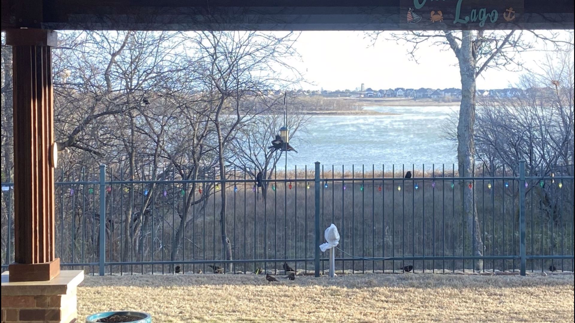 Snowing in Dallas: Pictures and video of Dallas-Fort Worth snow | wfaa.com