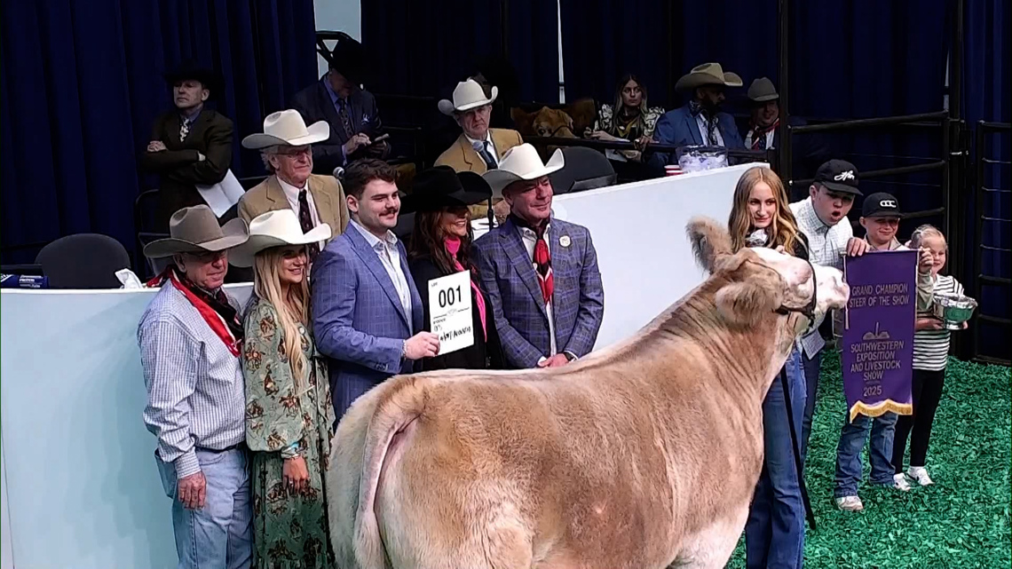 Fort Worth Stock Show Grand champion steer sells | wfaa.com