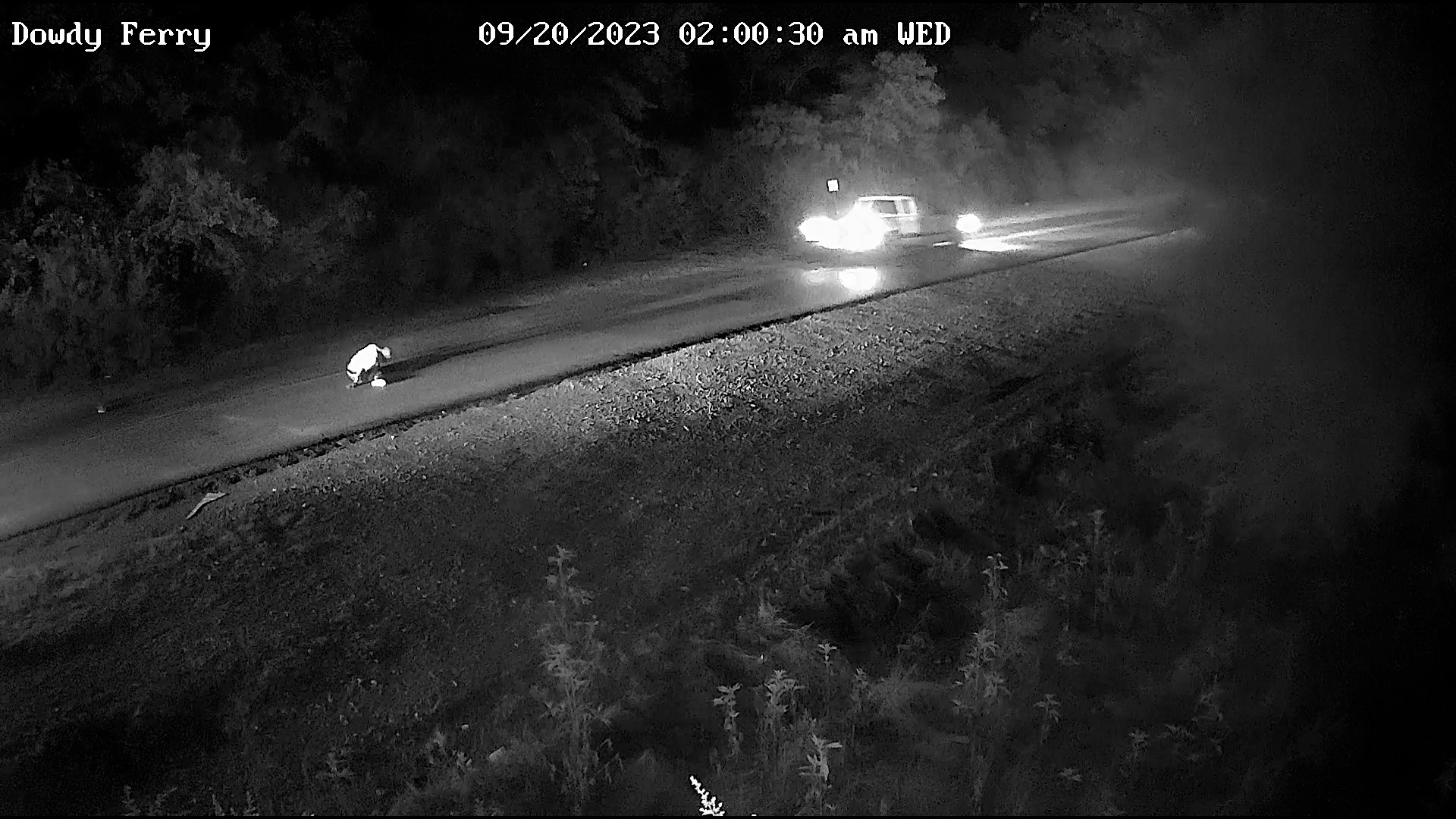 Dallas, Texas: Dowdy Ferry Rd. cameras capture hit-and-run | wfaa.com