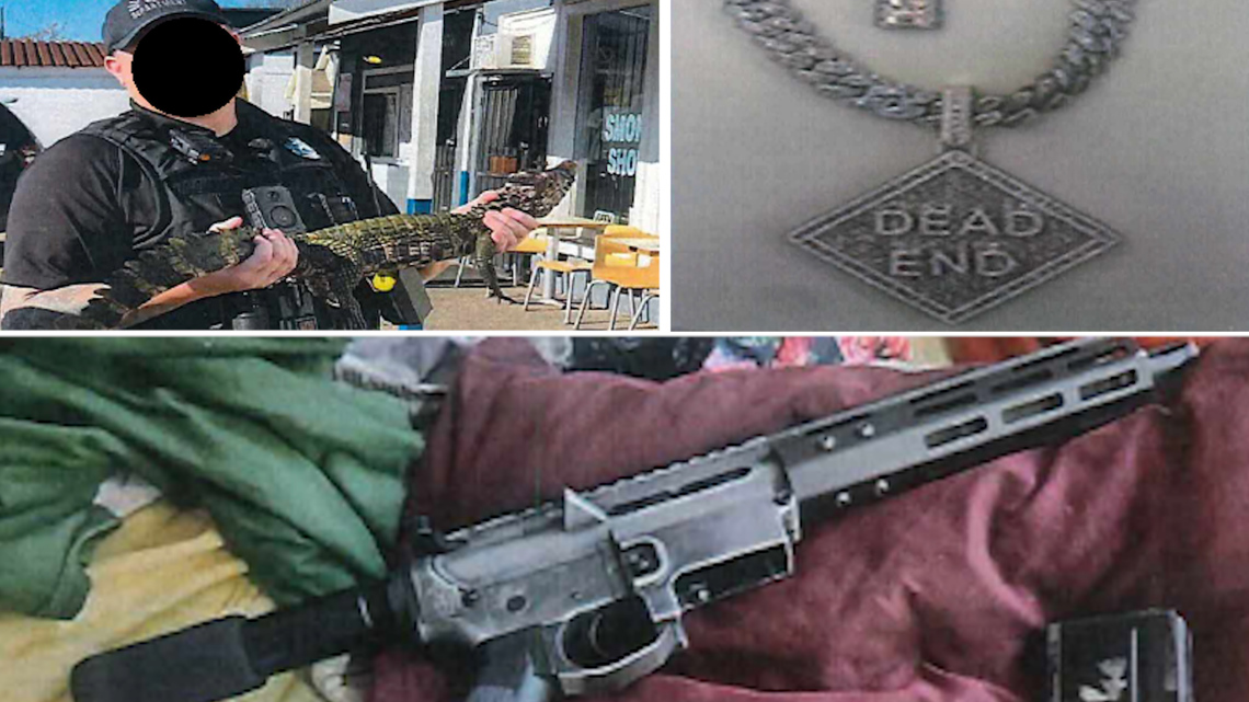 Feds arrest 8 'known gang members' in Dallas, seizing guns, drugs and a ...