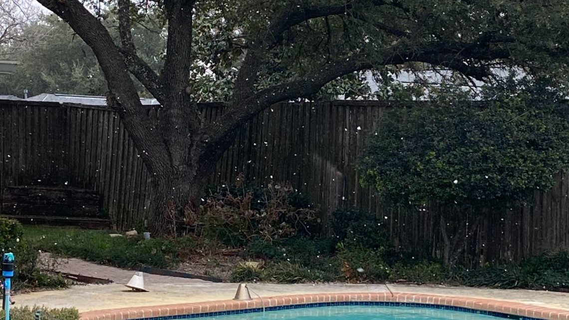 Snowing in Dallas: Pictures and video of Dallas-Fort Worth snow | wfaa.com