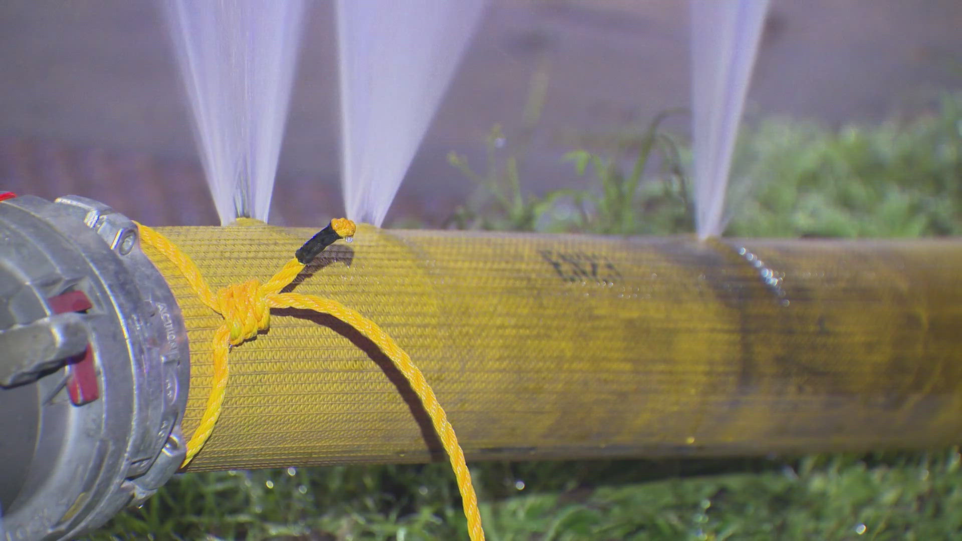 Woman reportedly starts house fire, stabs holes in fire hose of ...