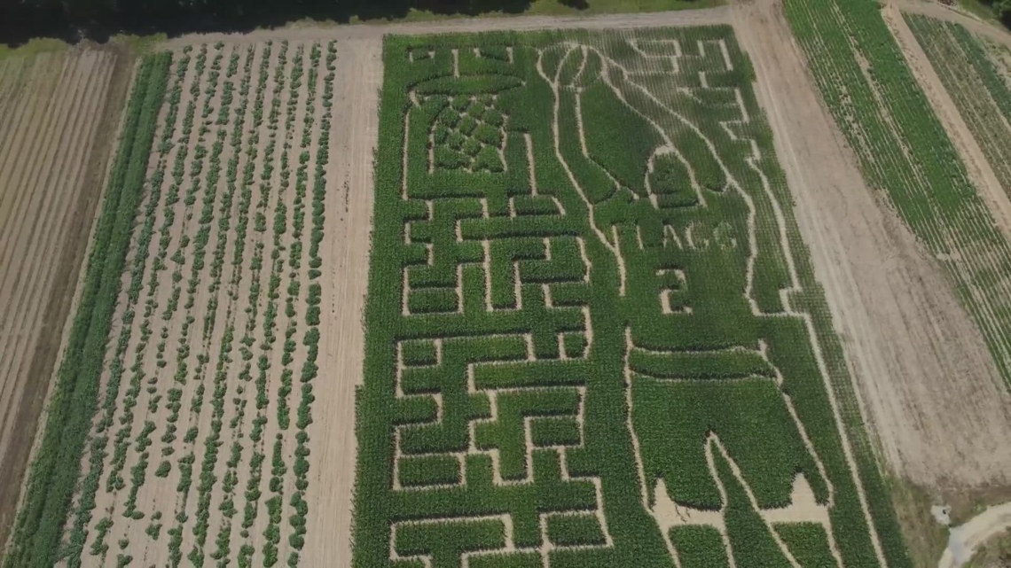 Maine corn maze pays tribute to Cooper Flagg’s NBA journey | wfaa.com