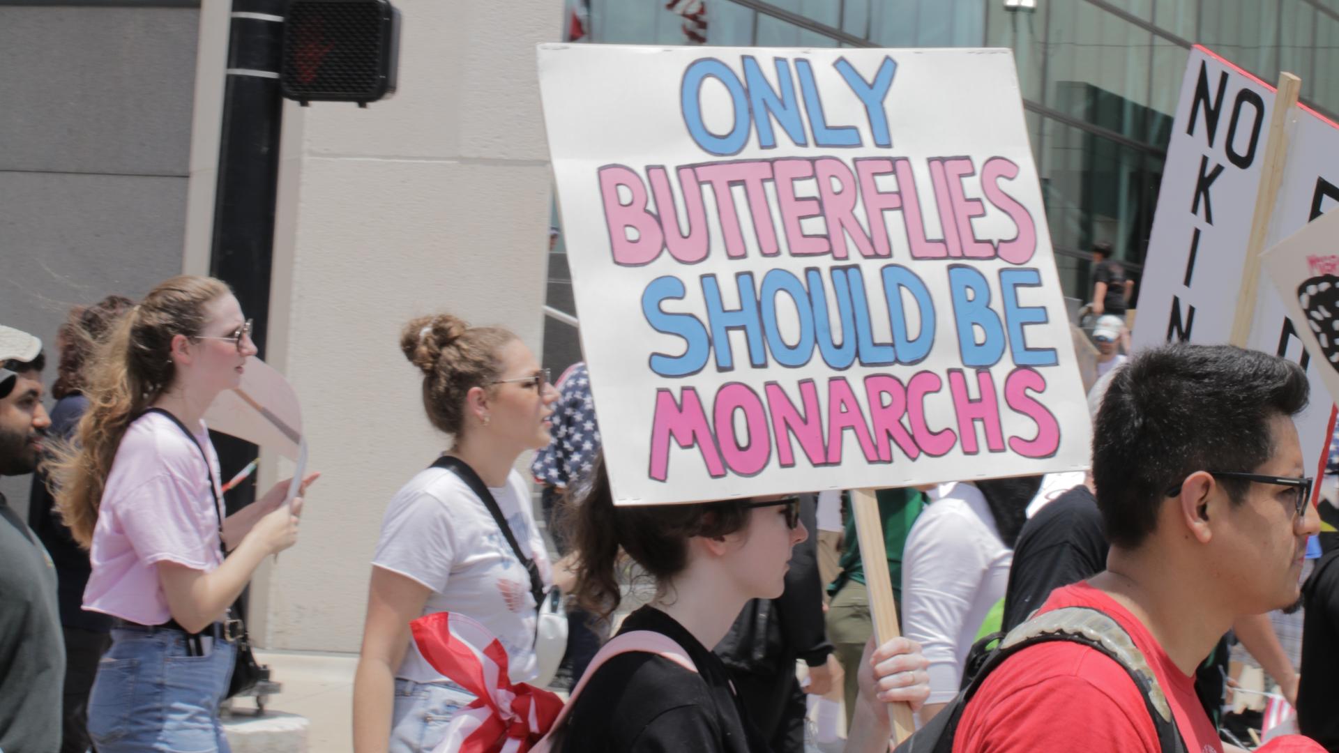 A look at the signs held at the Dallas 'No Kings' protest | wfaa.com