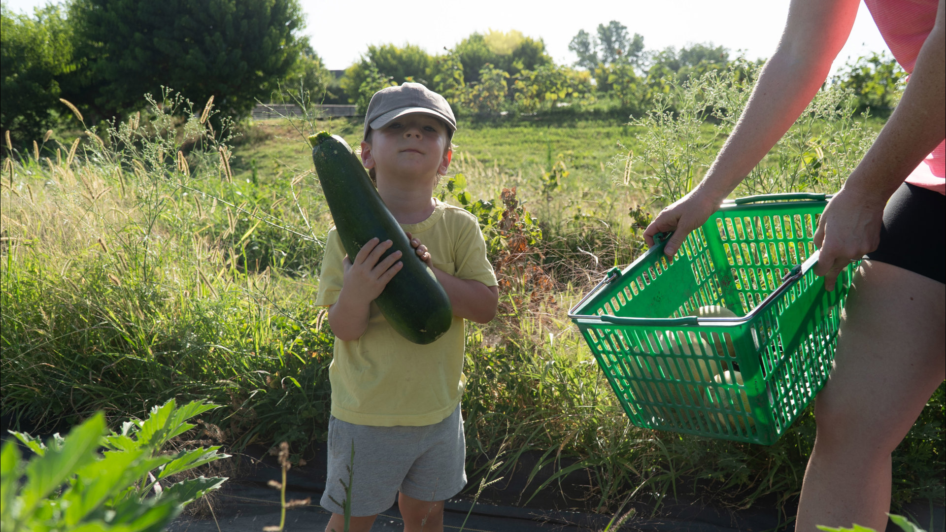 Agritourism grows in North Texas with pick-your-own-produce farms ...