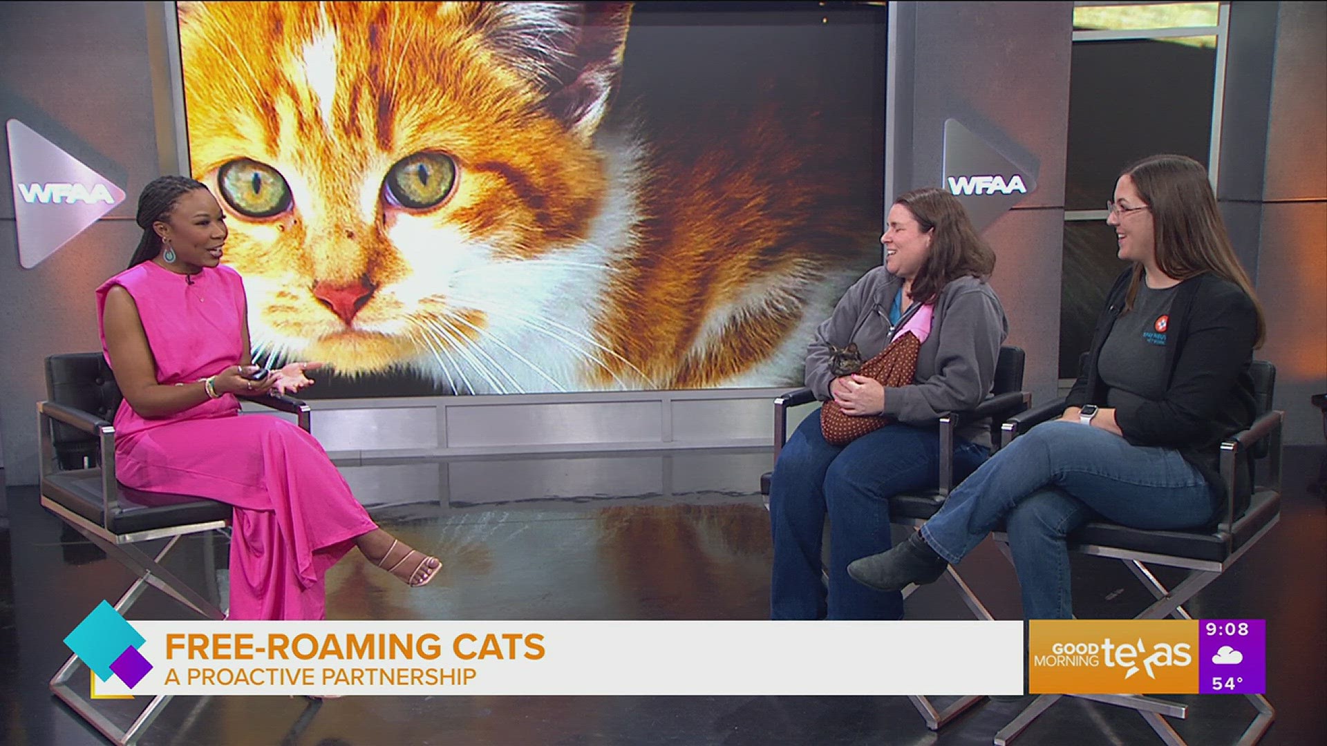 A New Initiative To Address Free-Roaming Cats | wfaa.com