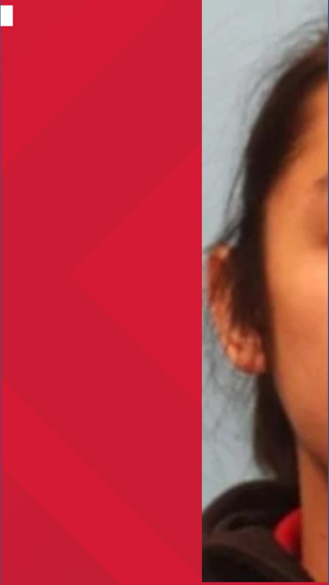 ICE detention facility attack: Search for 12th suspect intensifies ...