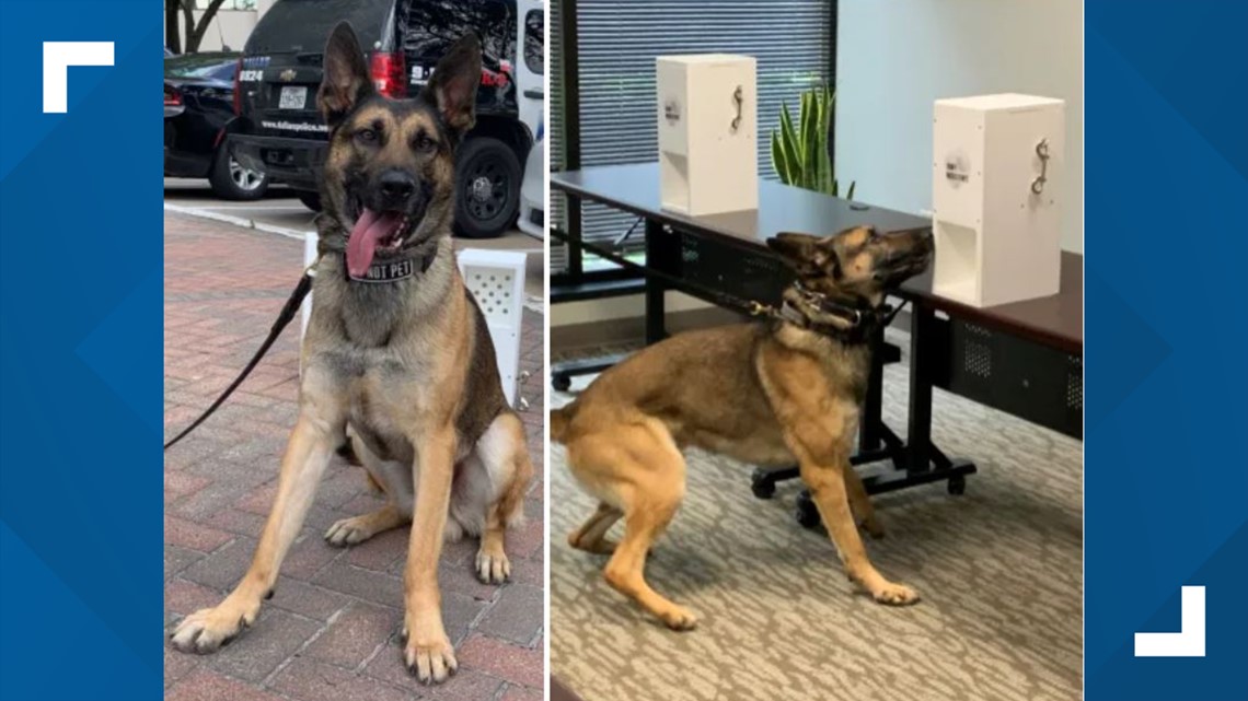 K9 Officer Kato joins DPD's Narcotics Unit | wfaa.com