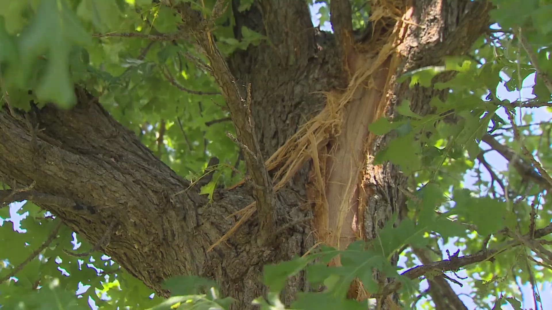North Texas storms: 2 hospitalized after lightning hit canopy at Lake ...