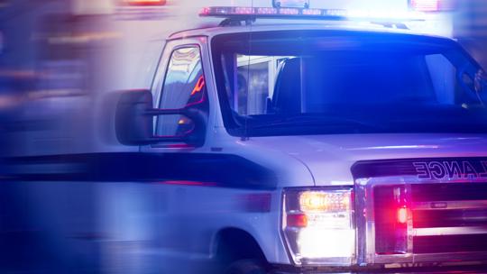 Man accidentally shoots himself while hog hunting in Texas, police say ...