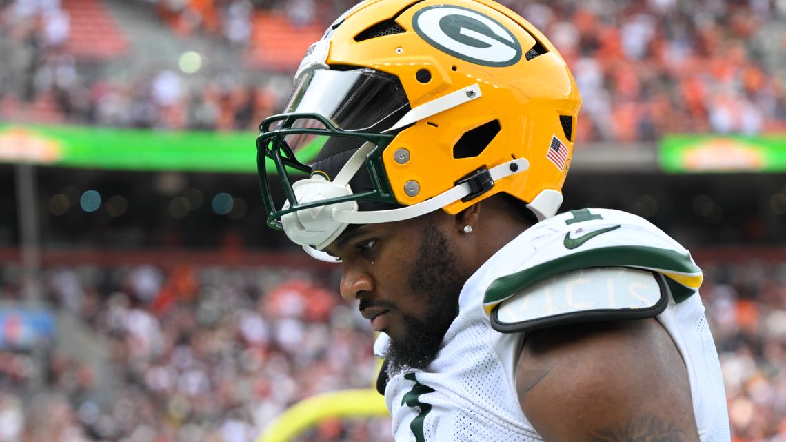 Asian Lady Beetles: Here's what to know about these fake ladybugs ...