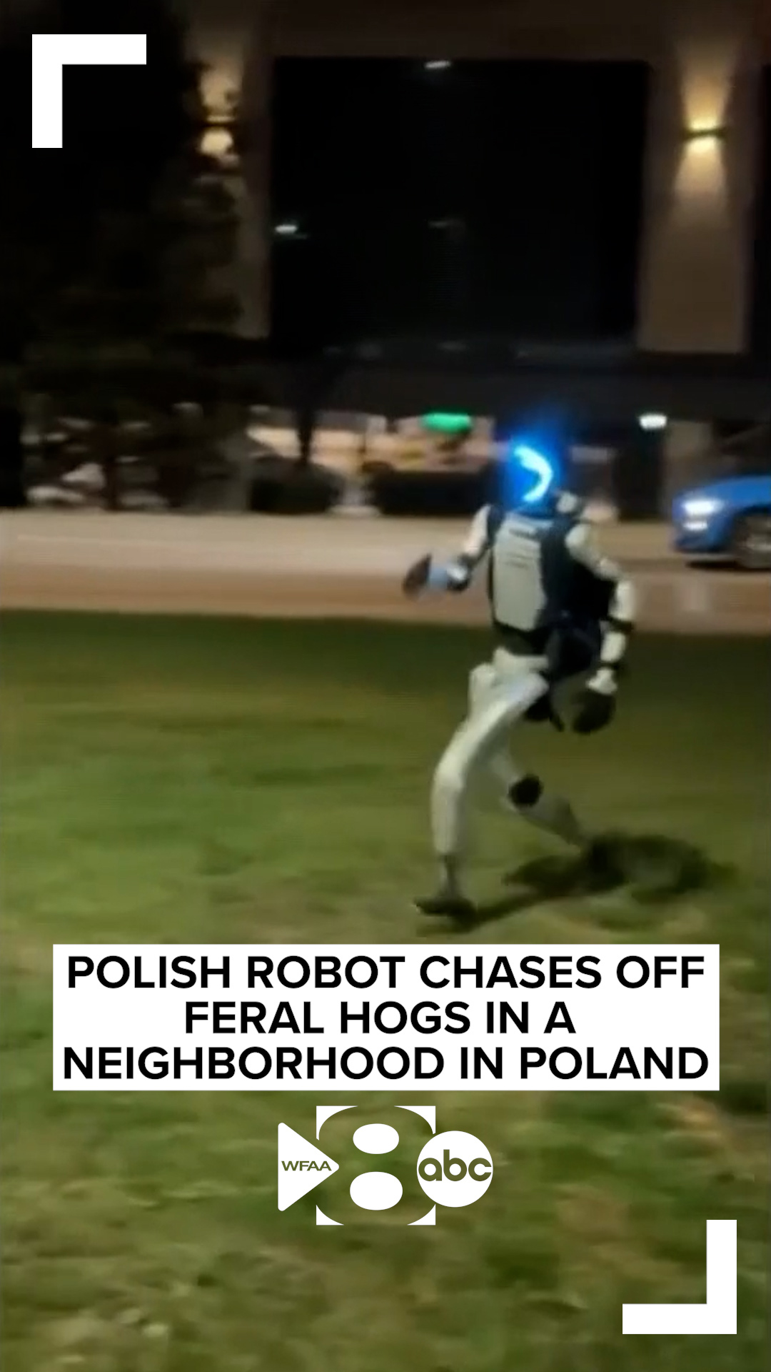 Polish robot chases off feral hogs in a neighborhood in Poland | wfaa.com
