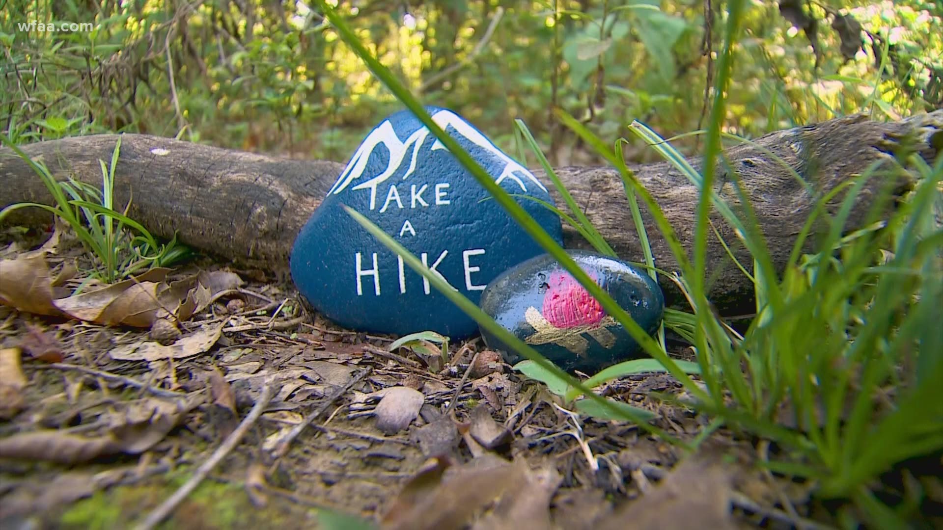 Local artist inspires painted rock trail | wfaa.com