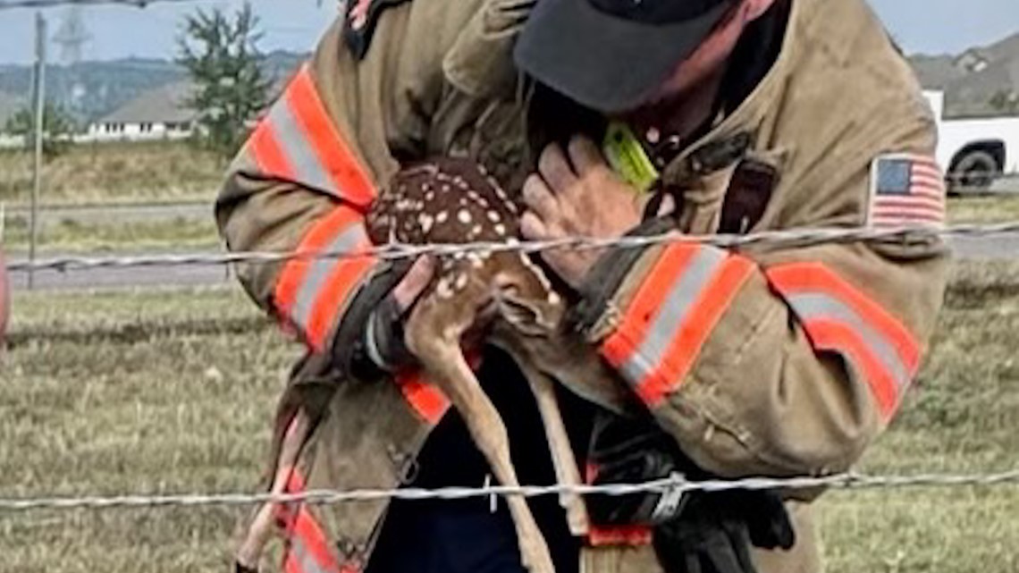 WATCH: Texas firefighters rescue fawn while putting out fire | wfaa.com