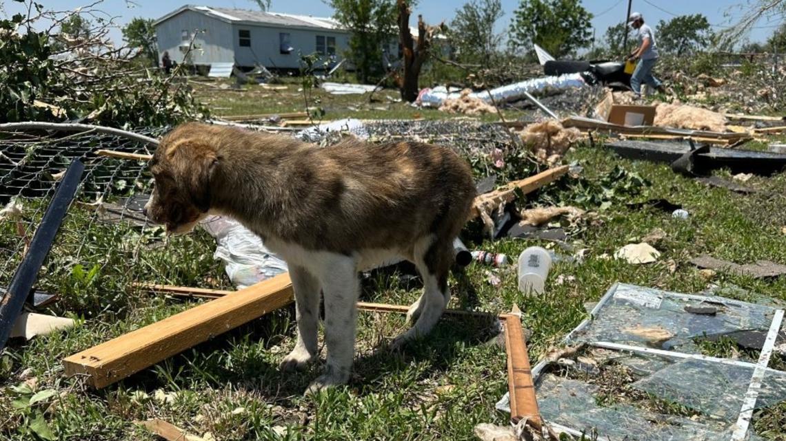Tornado reported in Texas last night: Damage photos, video | wfaa.com