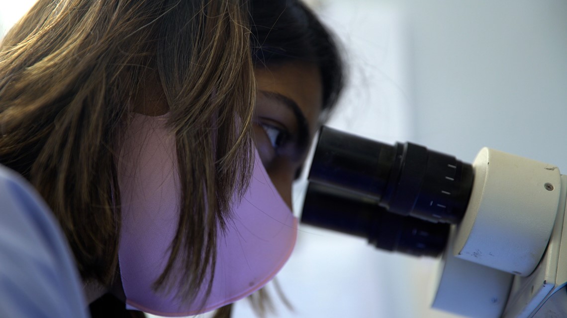 Is being scared healthy for you? | wfaa.com