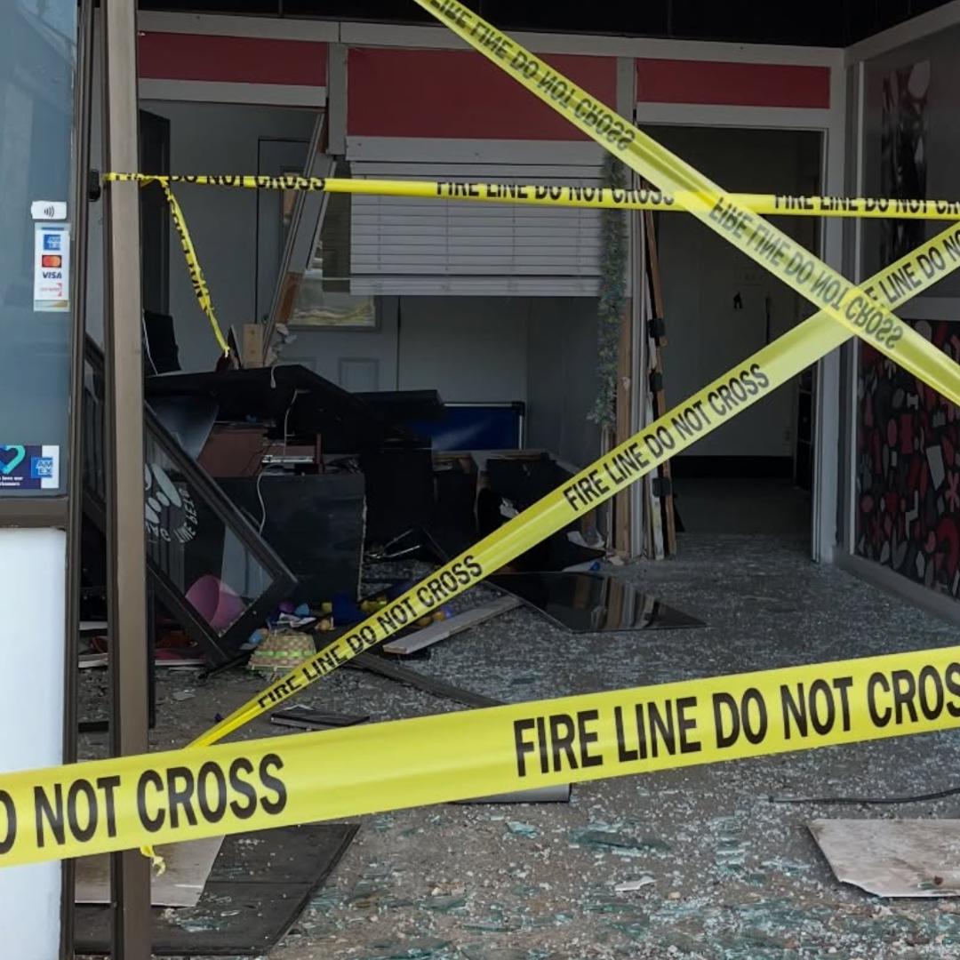 Dog dies at an Arlington doggie daycare after a vehicle crashes into ...