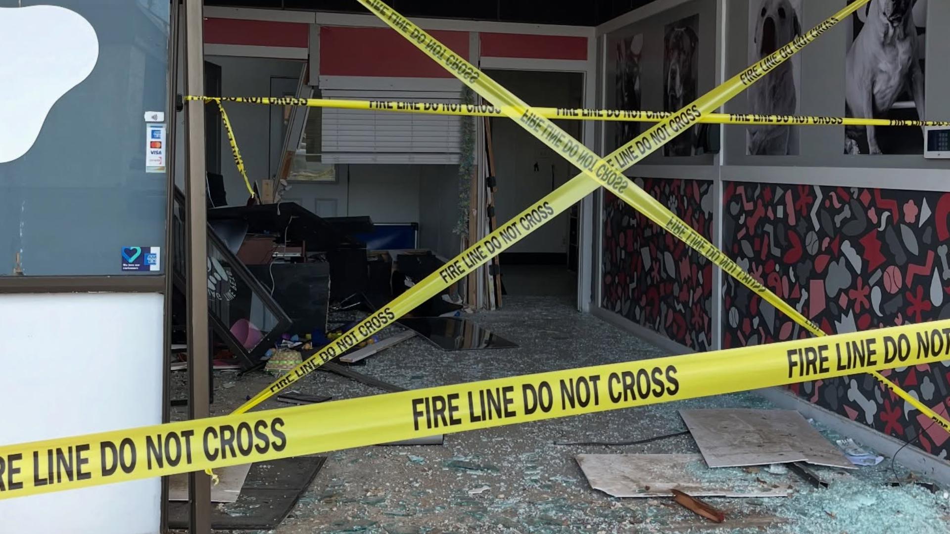 Dog dies at an Arlington doggie daycare after a vehicle crashes into ...