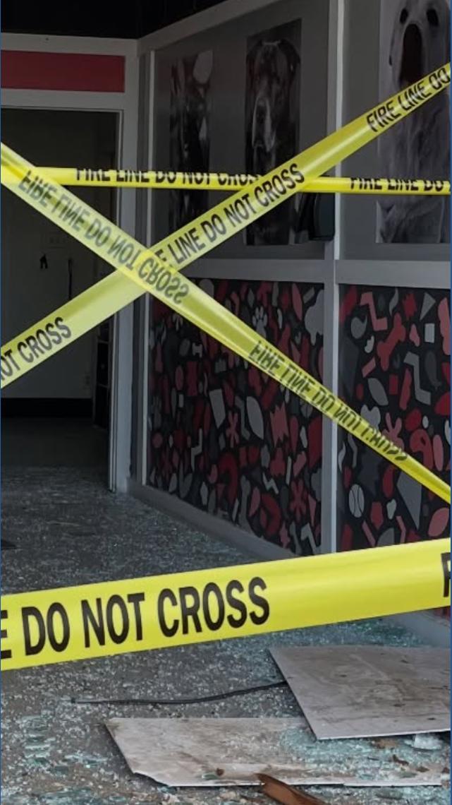 Dog dies at an Arlington doggie daycare after a vehicle crashes into ...