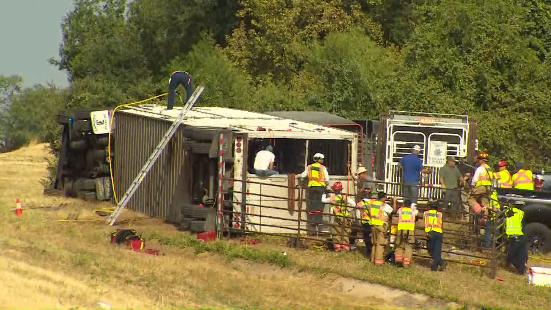 Arlington I-30 crash: Cattle trailer rolls over | wfaa.com