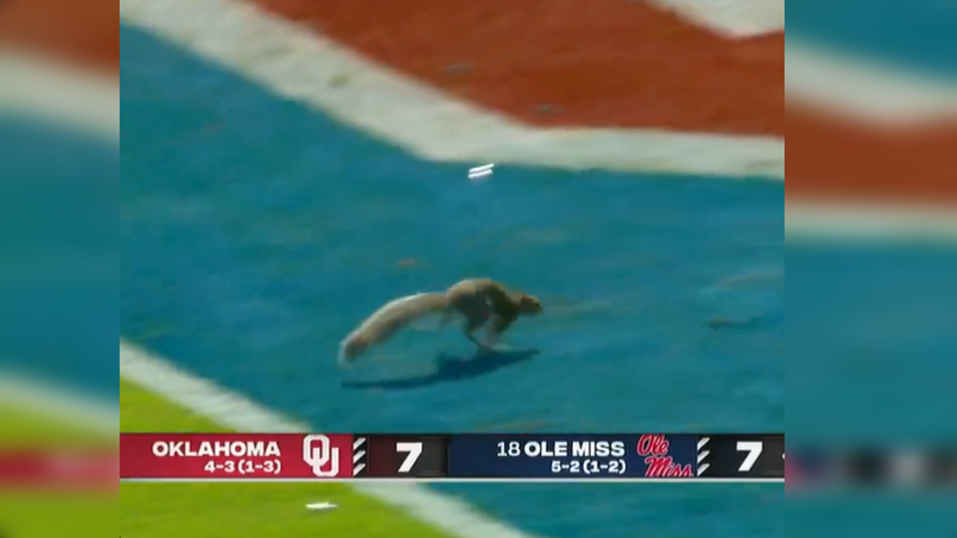 Oklahoma vs. Ole Miss: Game delayed due to squirrel on field | wfaa.com