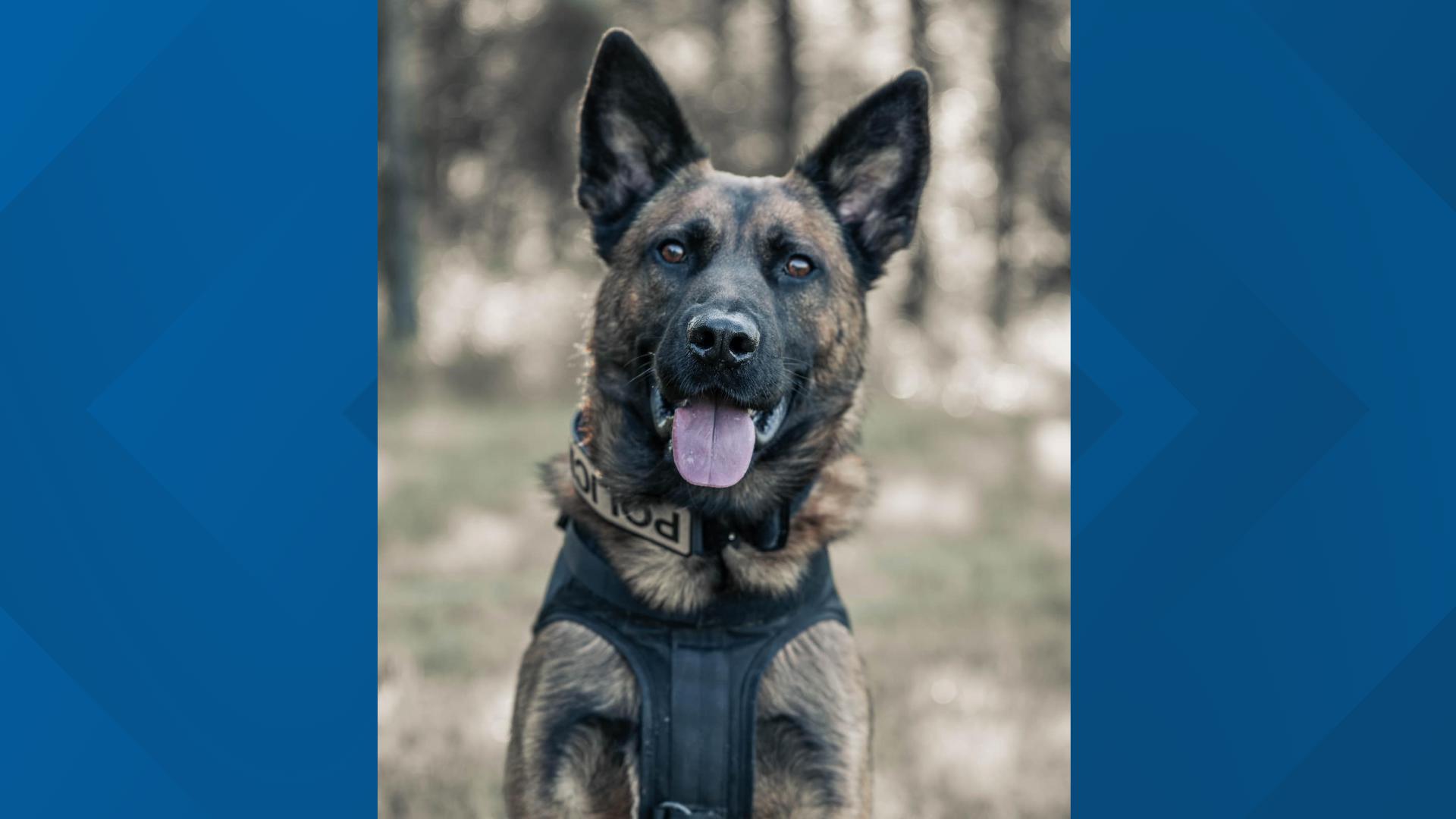 Terrell Police announce the death of K-9 officer Max | wfaa.com