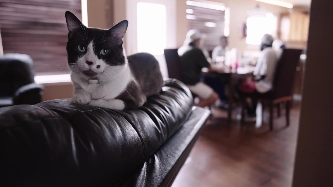 Forth Worth, TX operator explains the importance of boarding home ...